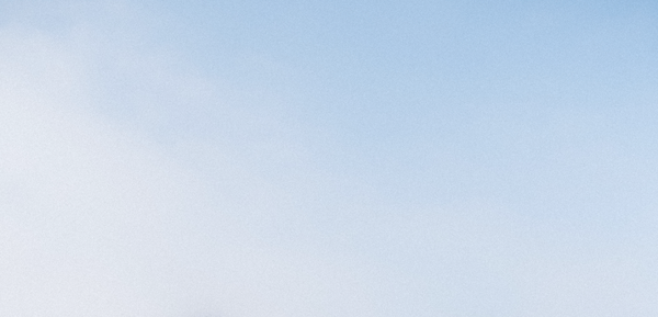 California Collection – Shop LA Times